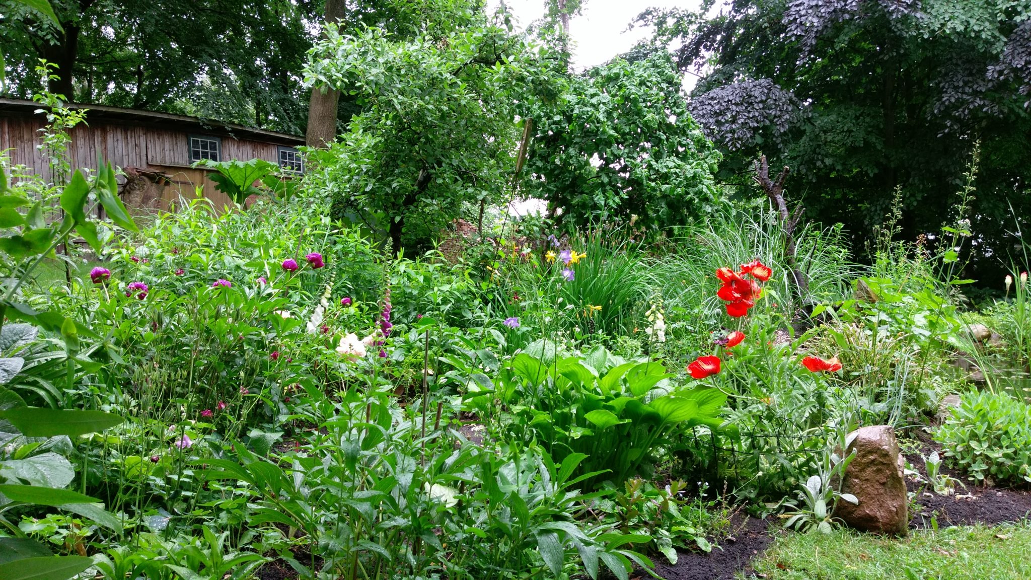 Der Garten – Hof Rahlf